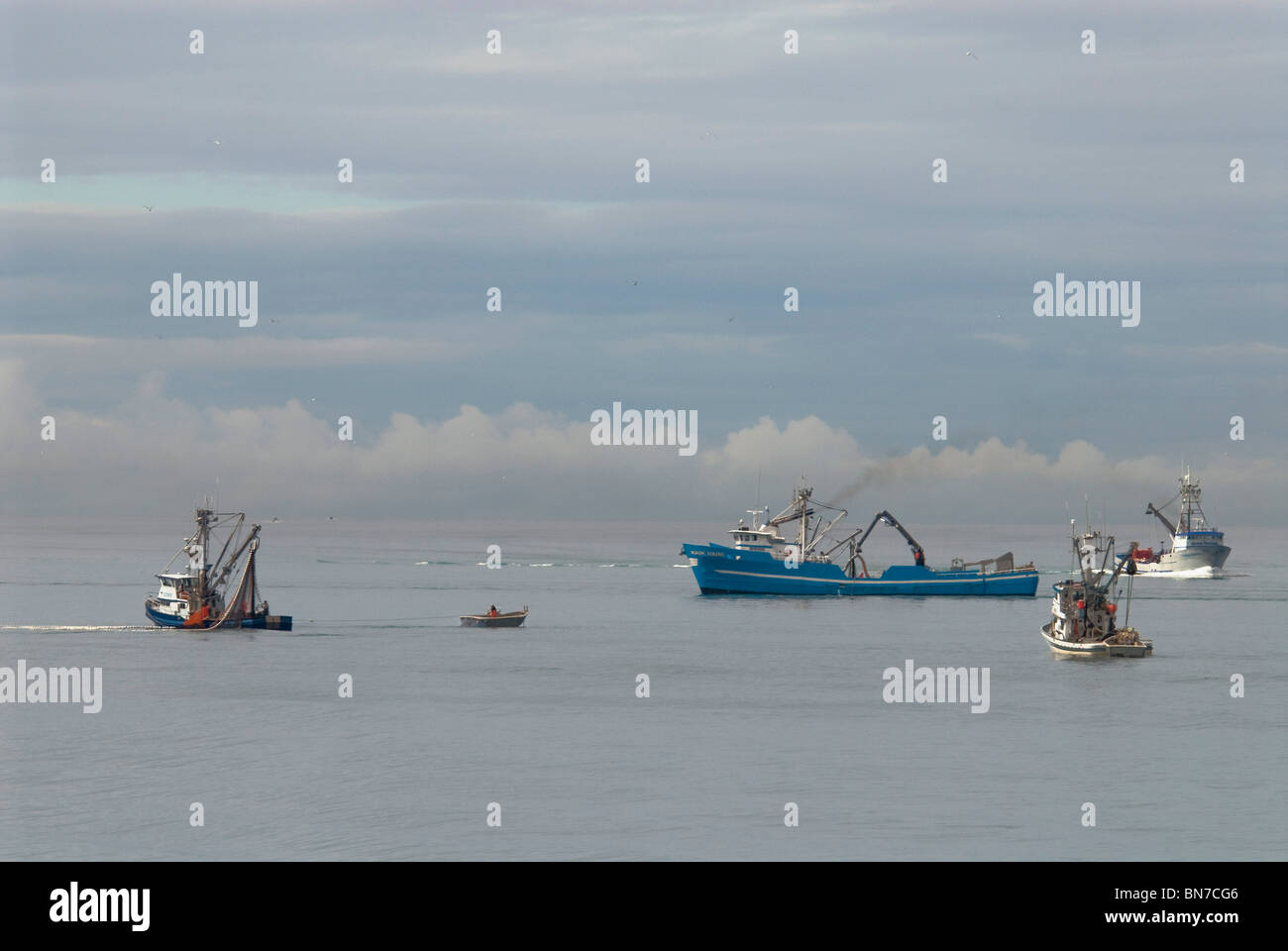 Seiners hi-res stock photography and images - Alamy