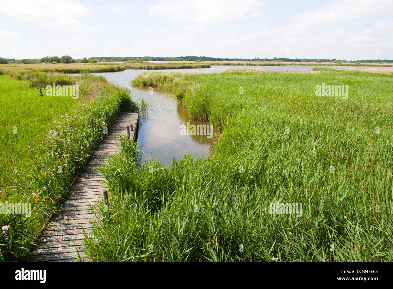 Hickling Broad, Norfolk, UK, summer Stock Photo - Alamy