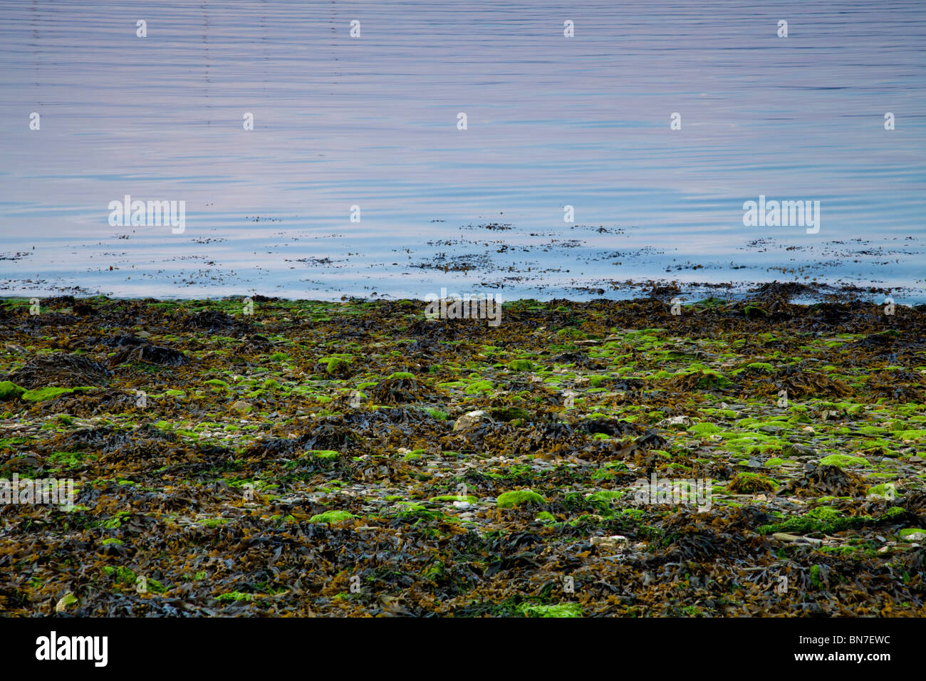 Penryn river hi-res stock photography and images - Alamy