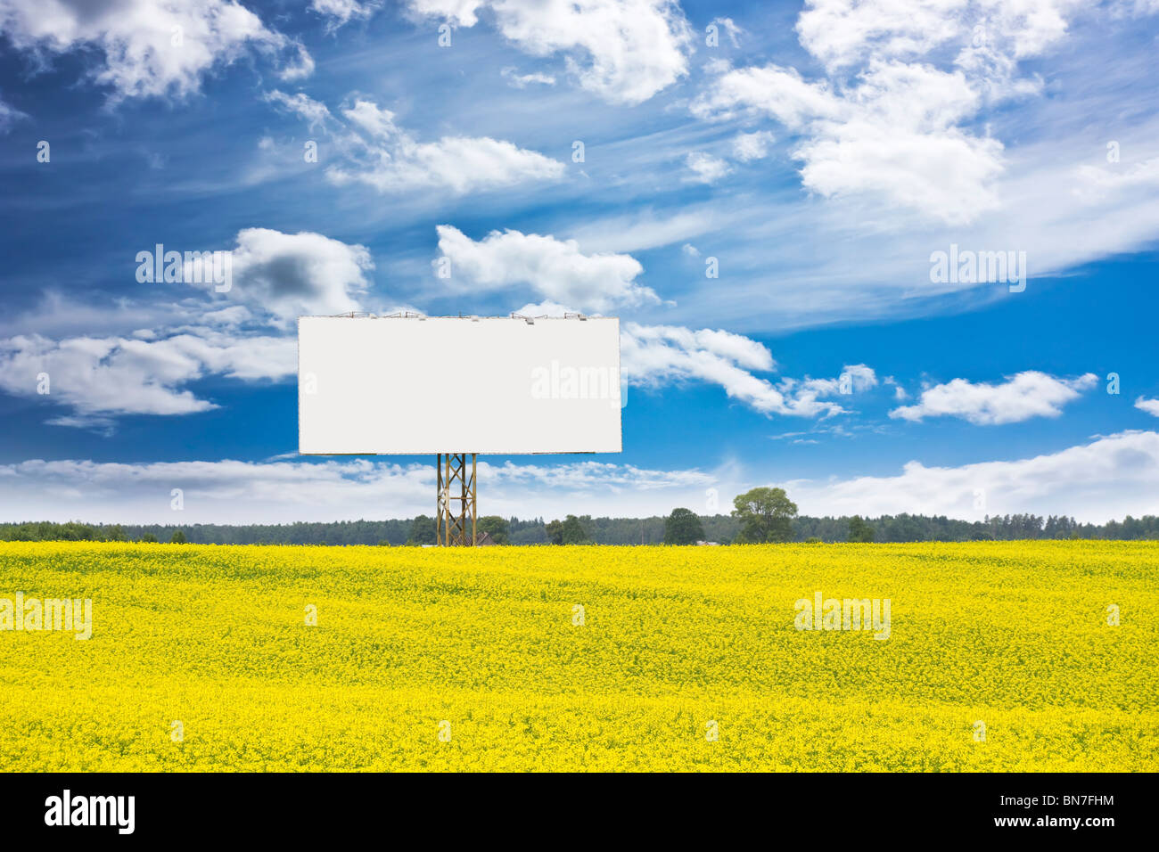 billboard in rapeseed field Stock Photo - Alamy