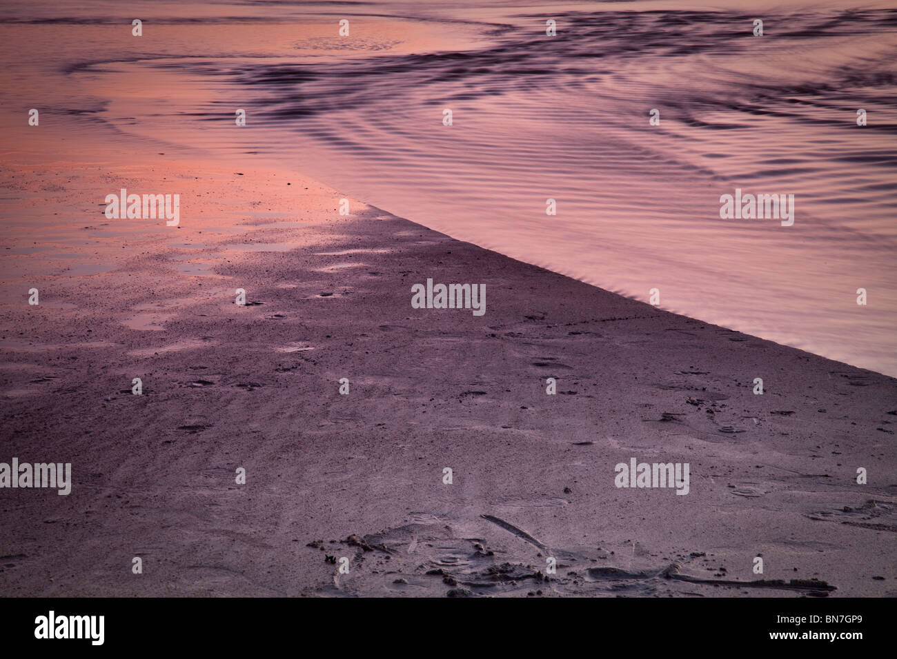 Pink tide hi-res stock photography and images - Alamy