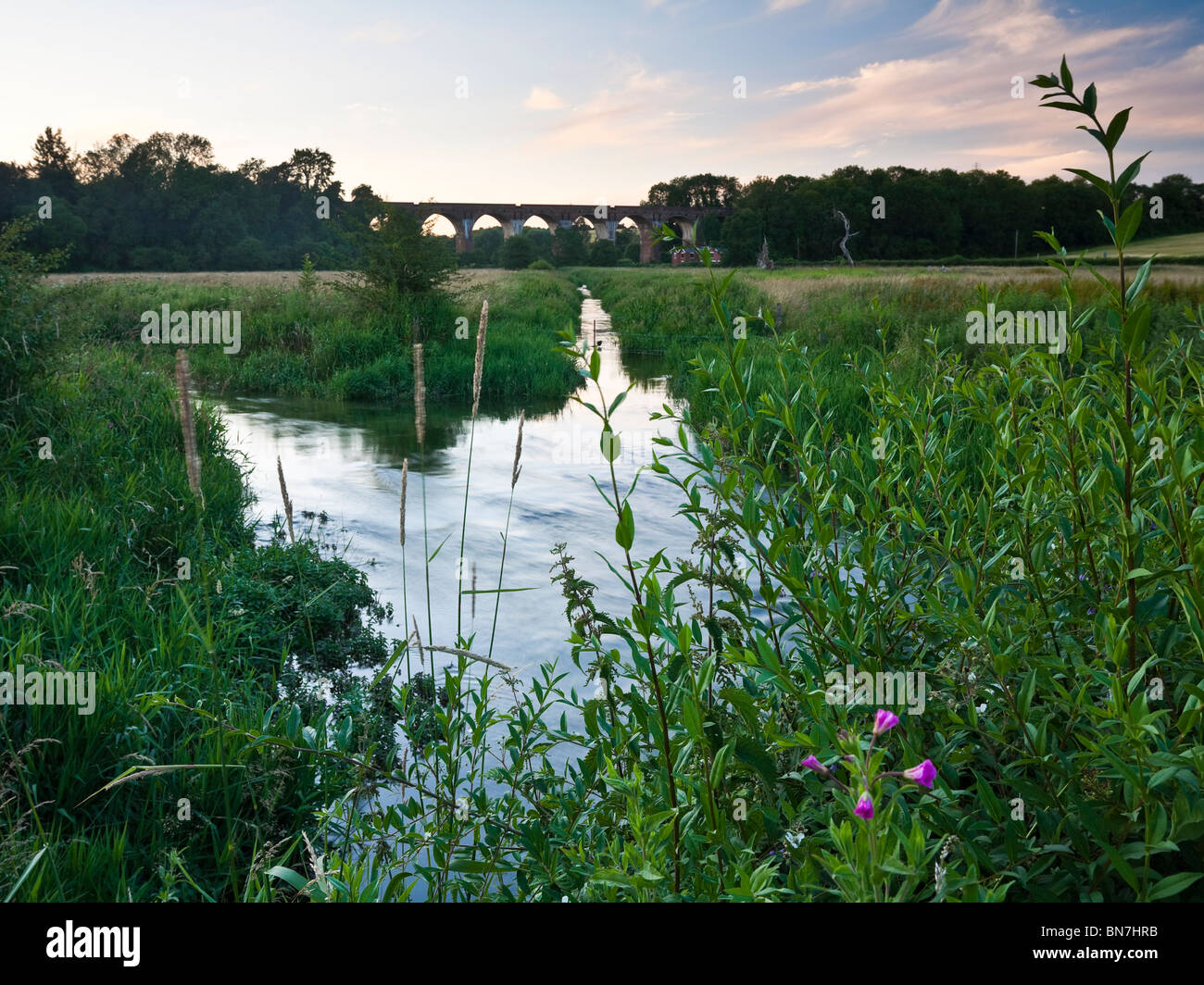 St Mary Bourne railway viaduct viewed from the Bourne Rivulet Hampshire ...