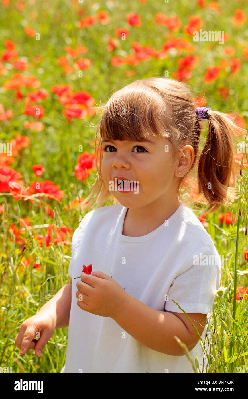 Little girl with poppies Stock Photo - Alamy