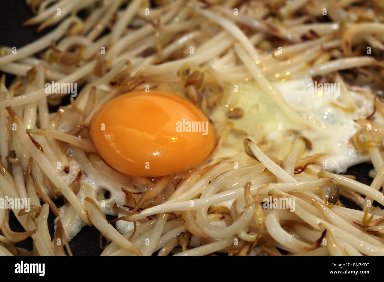 soya sprouts seedlings Stock Photo - Alamy