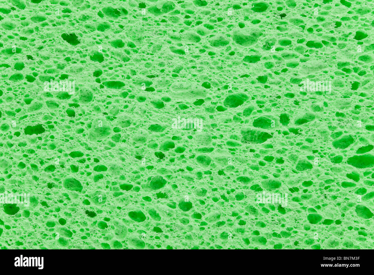 Green Sponge close up for background Stock Photo - Alamy