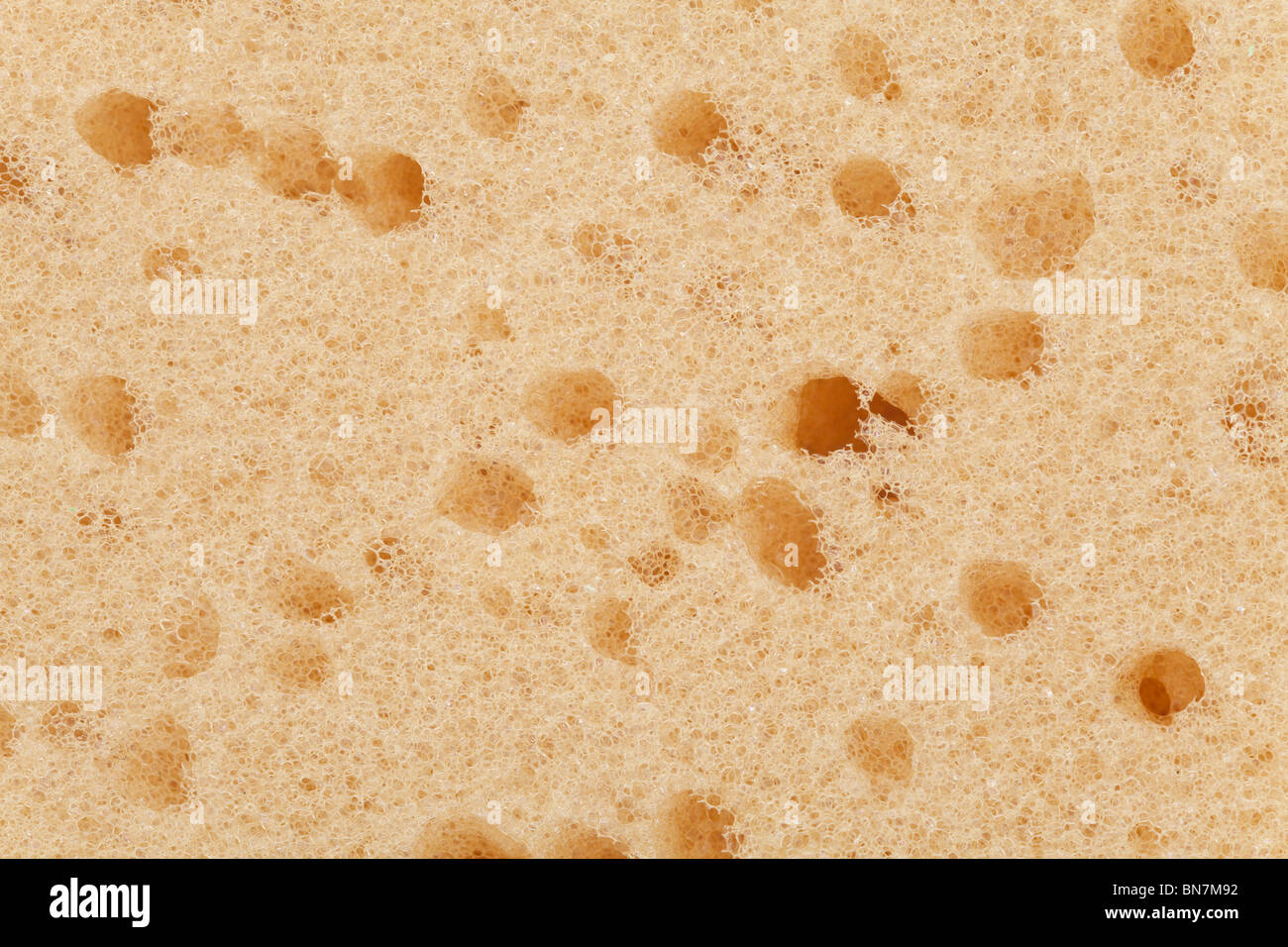 Yellow Sponge close up for background Stock Photo - Alamy
