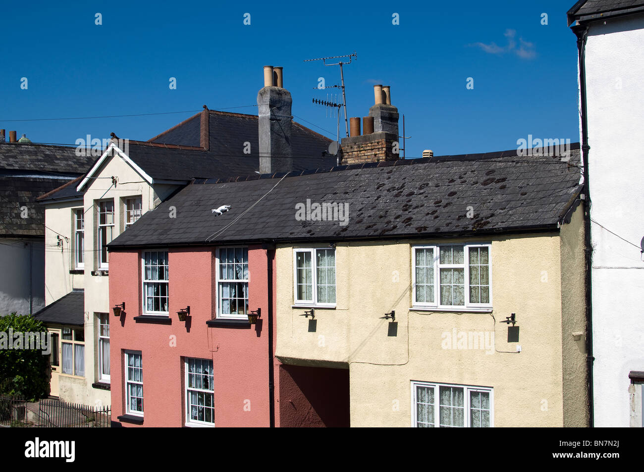 Chudleigh hi-res stock photography and images - Alamy