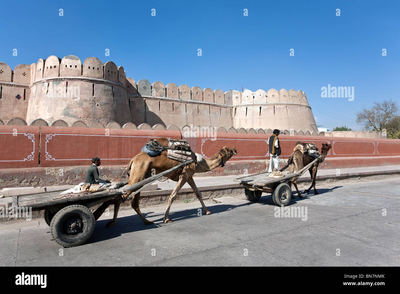 Camel pulling cart hi-res stock photography and images - Alamy