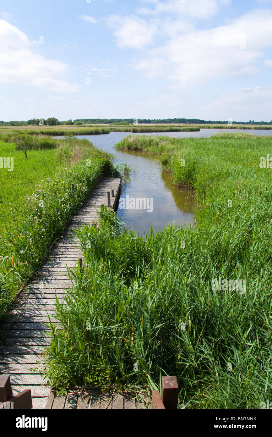 Hickling reserve hi-res stock photography and images - Alamy