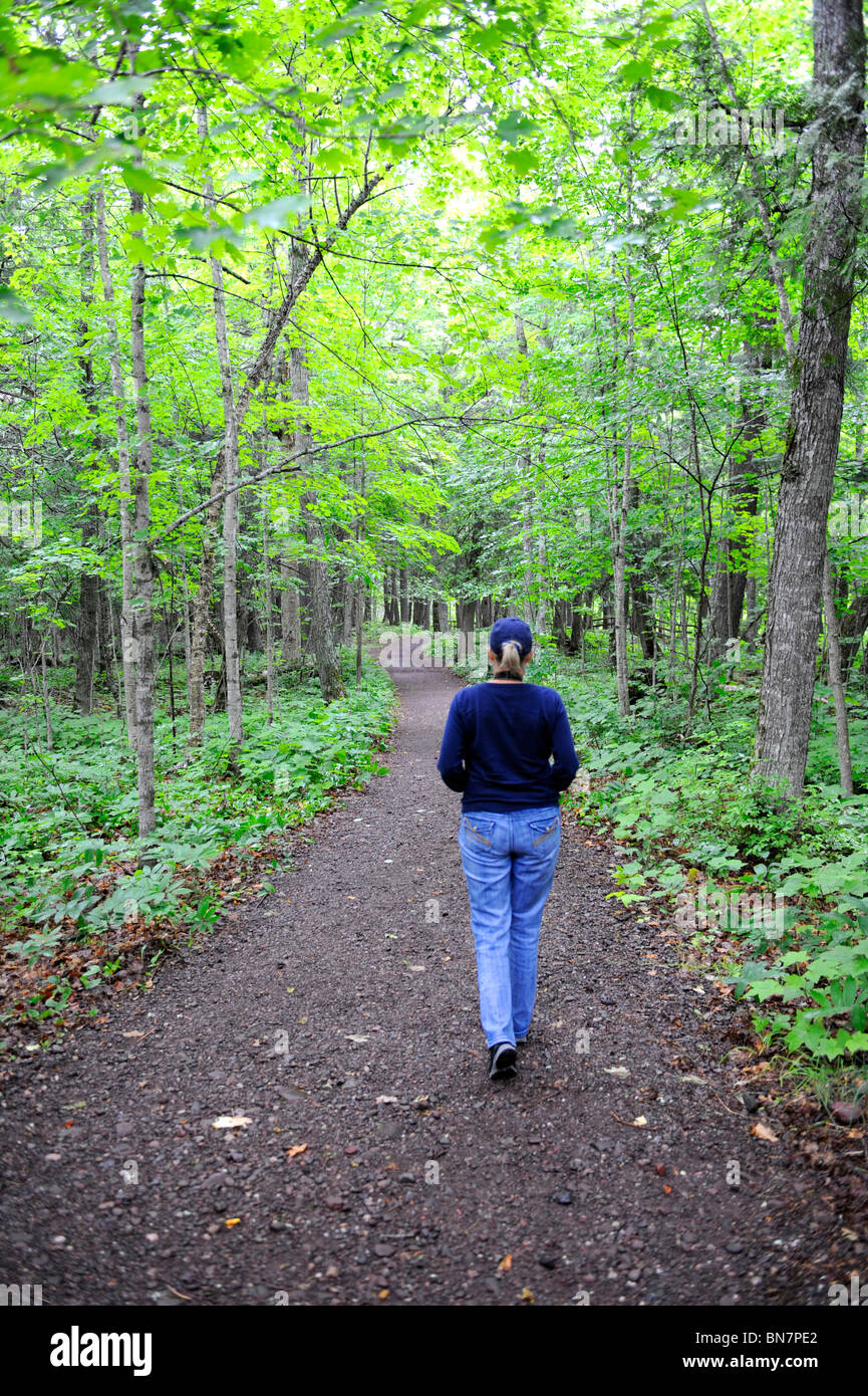 Ottawa national forest hi-res stock photography and images - Alamy