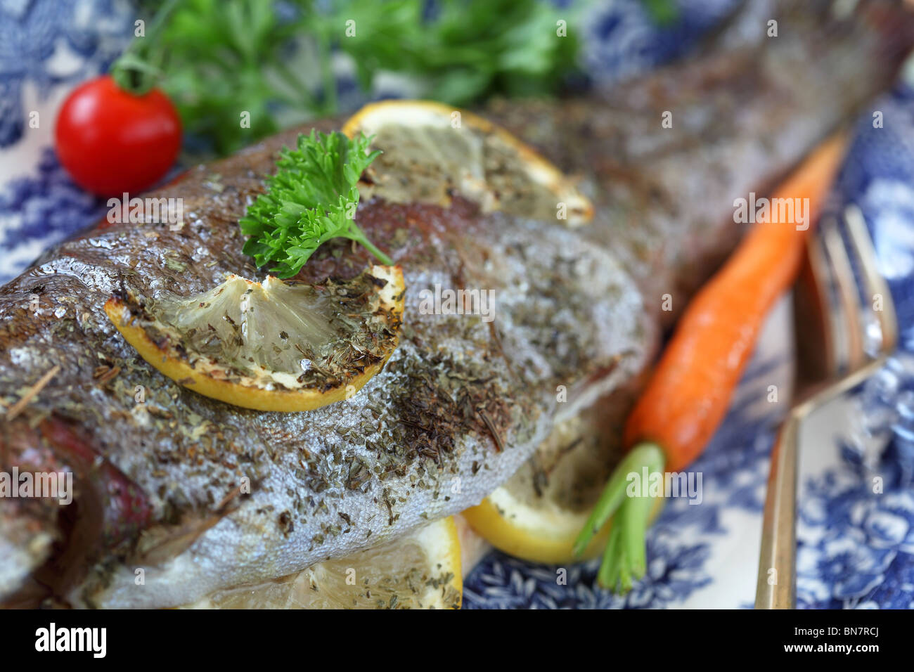 Trout fish food Stock Photo - Alamy