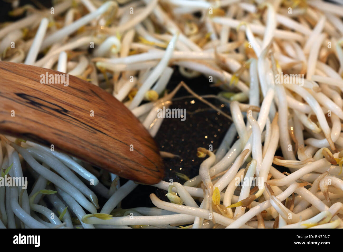 soya sprouts seedlings Stock Photo - Alamy