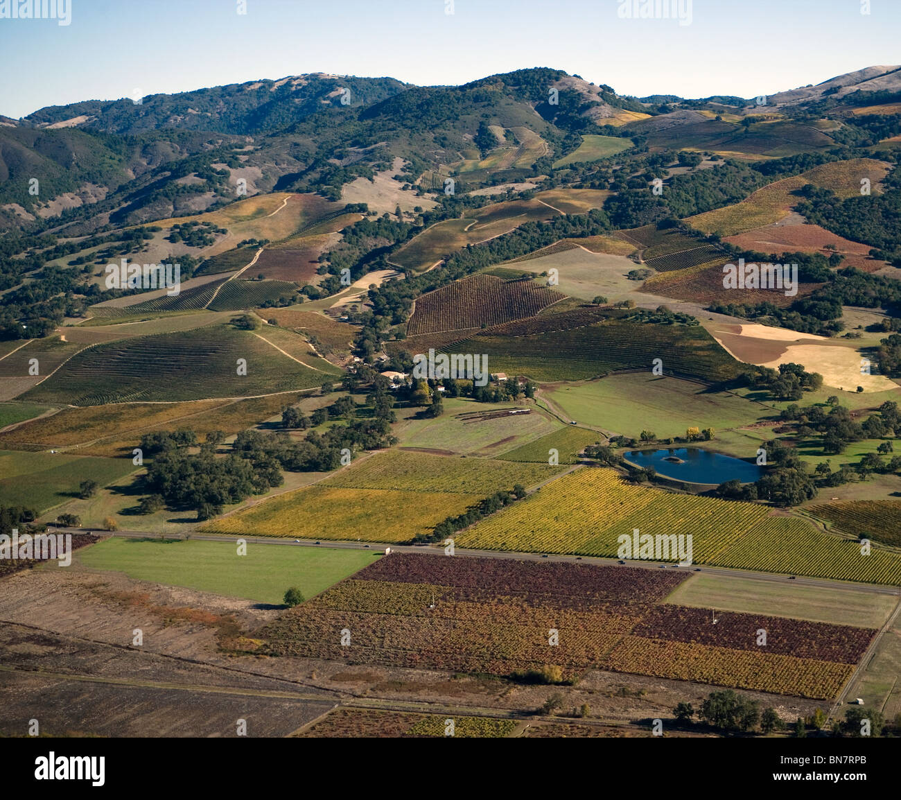 aerial view above hillside vineyard Mayacamas mountains Sonoma valley ...