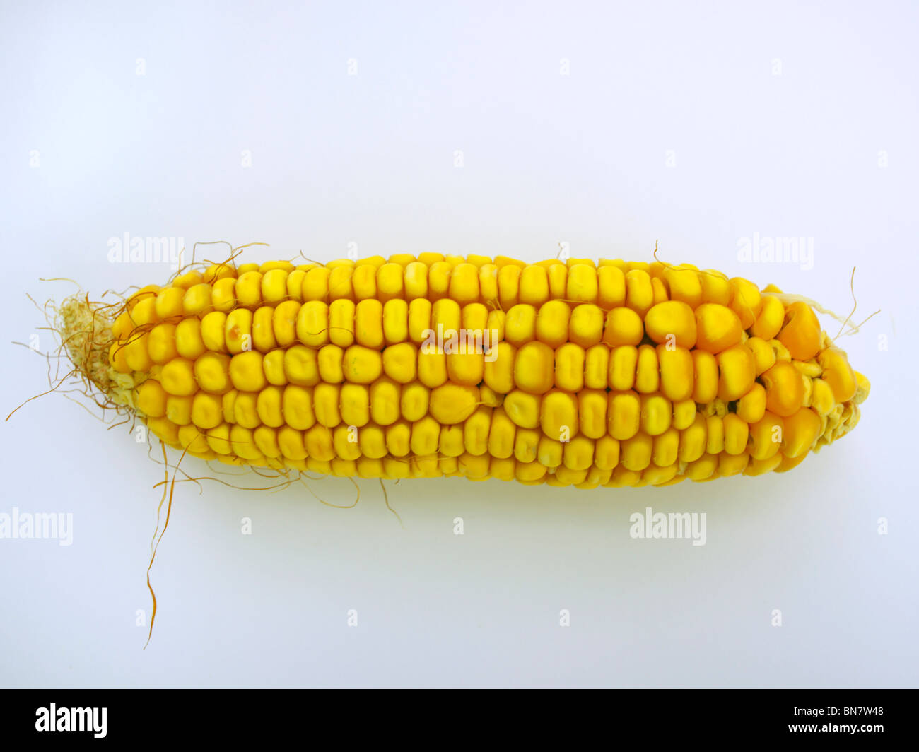 Corncob on white background Stock Photo - Alamy