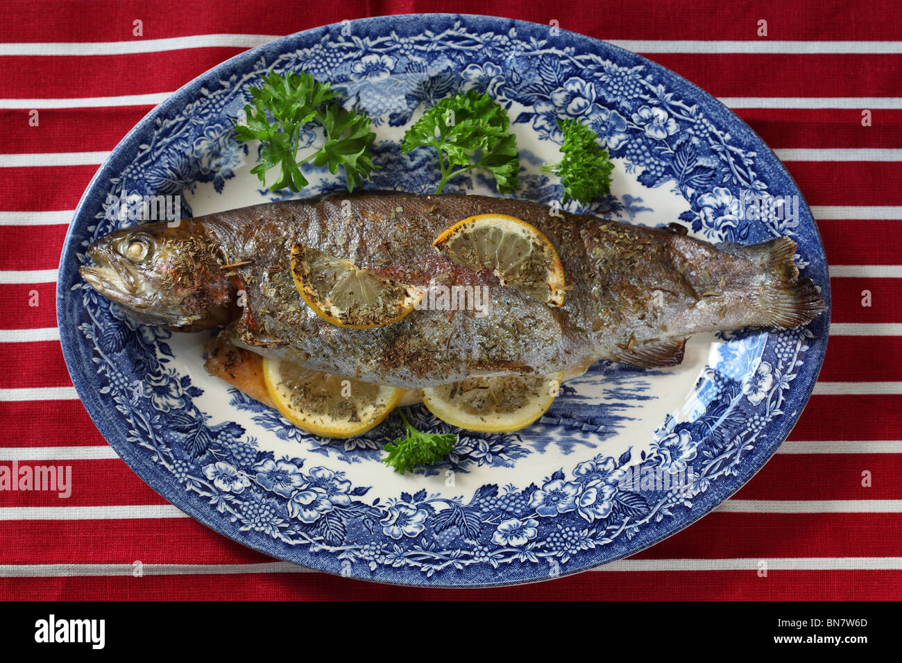 Trout fish food Stock Photo - Alamy