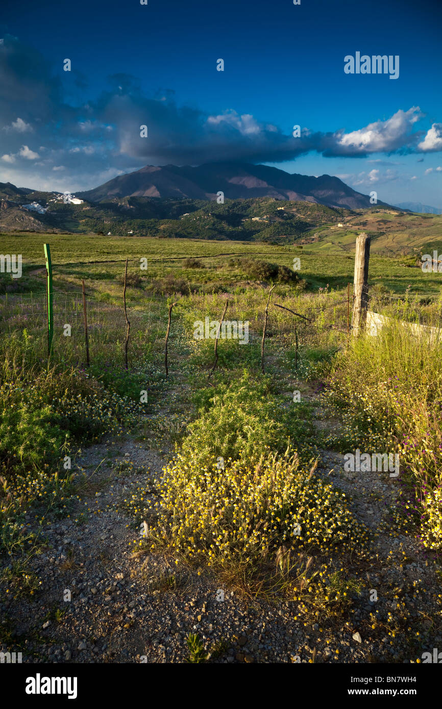 Gateway to the countryside Stock Photo - Alamy