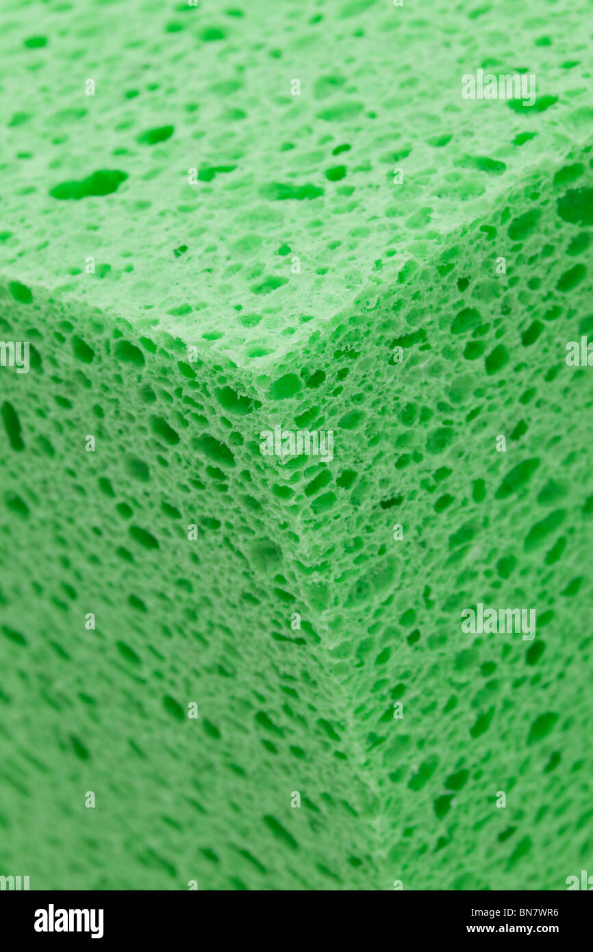 Green porous hi-res stock photography and images - Alamy