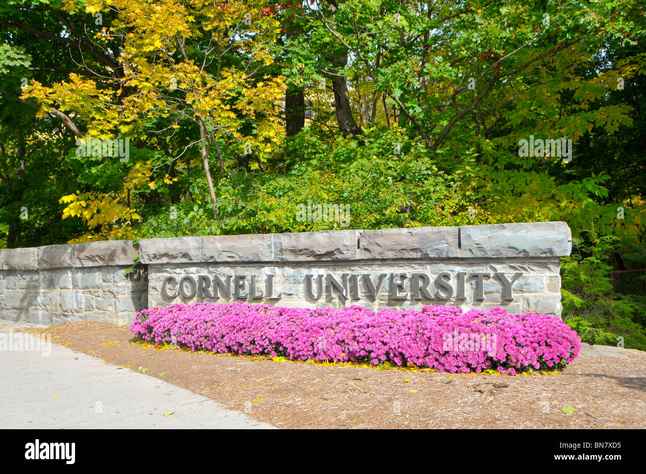 Cornell University Campus Ithaca New York Finger Lakes Region Stock ... Cornell University Campus Ithaca New York Finger Lakes Region Stock ...