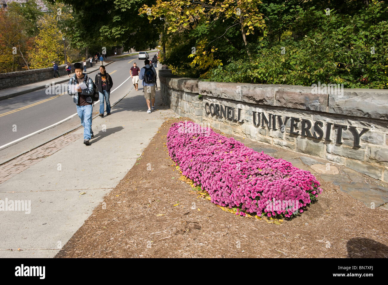 Cornell University Campus Ithaca New York Finger Lakes Region Stock ...