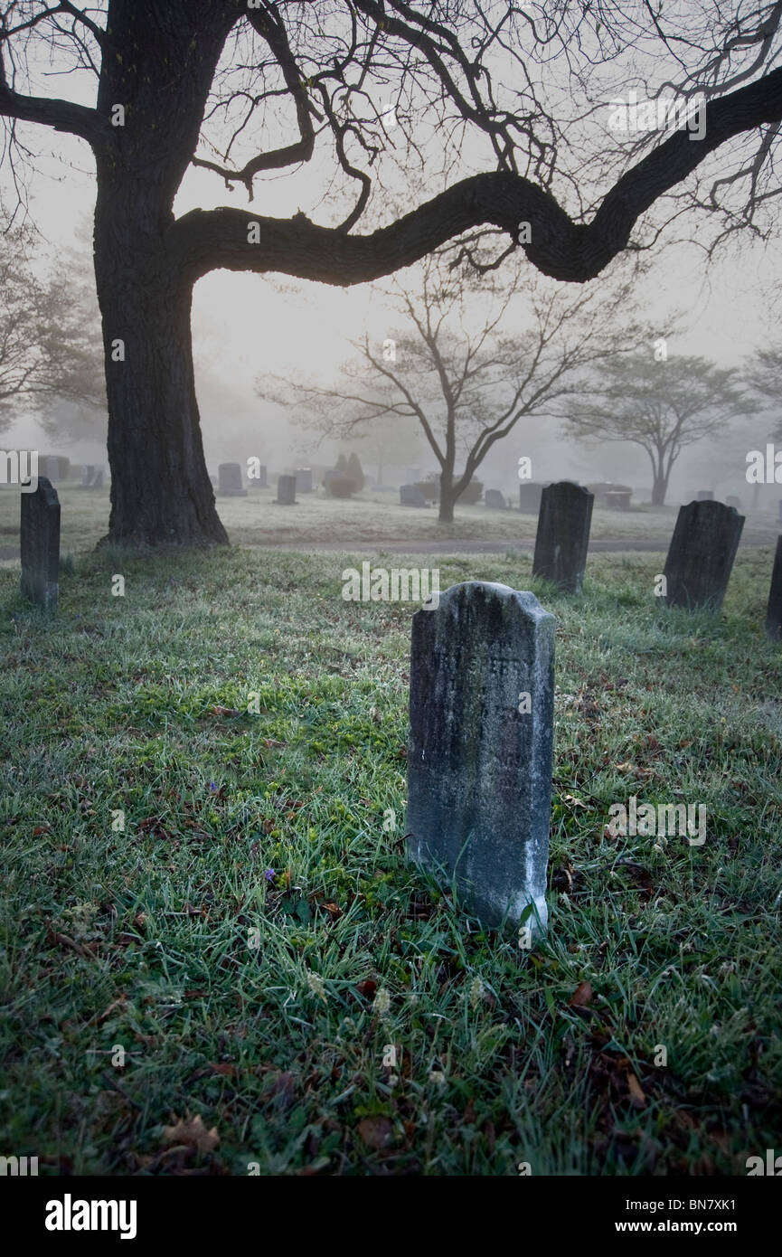 Cemetery graveyard night hi-res stock photography and images - Alamy