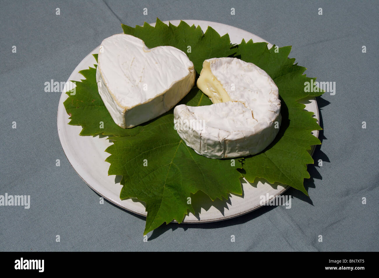 Two cheeses hi-res stock photography and images - Alamy