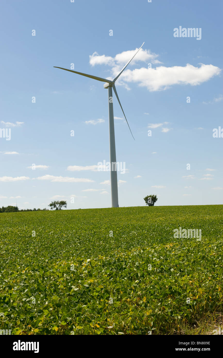 Wind power powered turbine windmills provide electrical power located ...