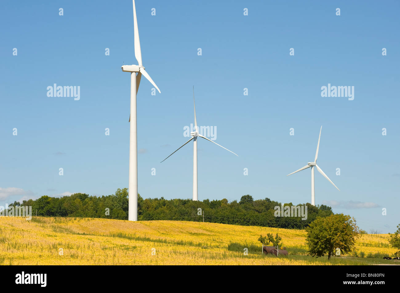 Wind power powered turbine windmills provide electrical power located ...