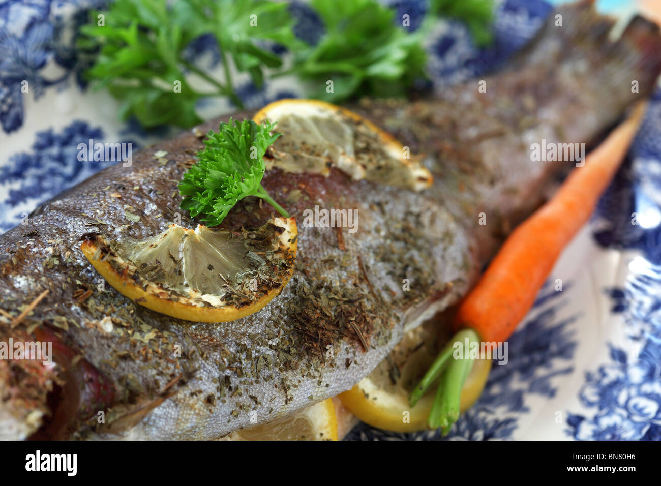 Trout fish food Stock Photo - Alamy
