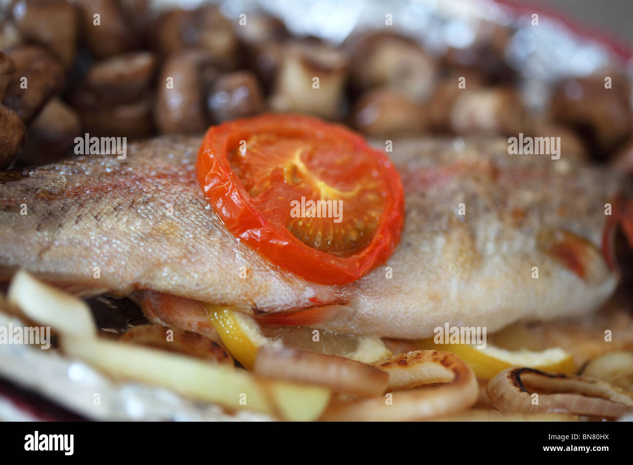 Trout fish food Stock Photo - Alamy