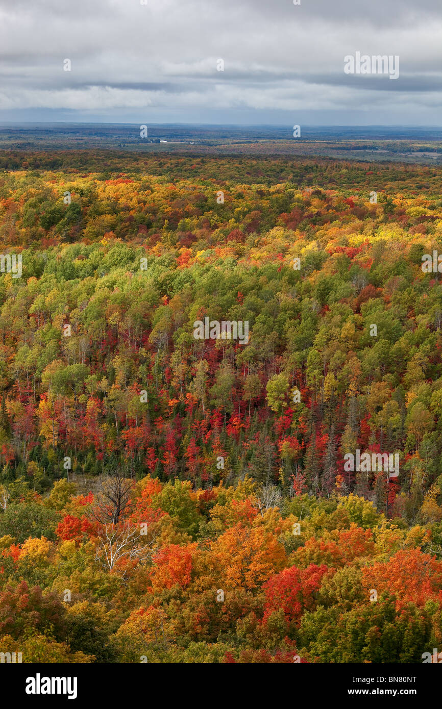 Chequamegon national hi-res stock photography and images - Alamy