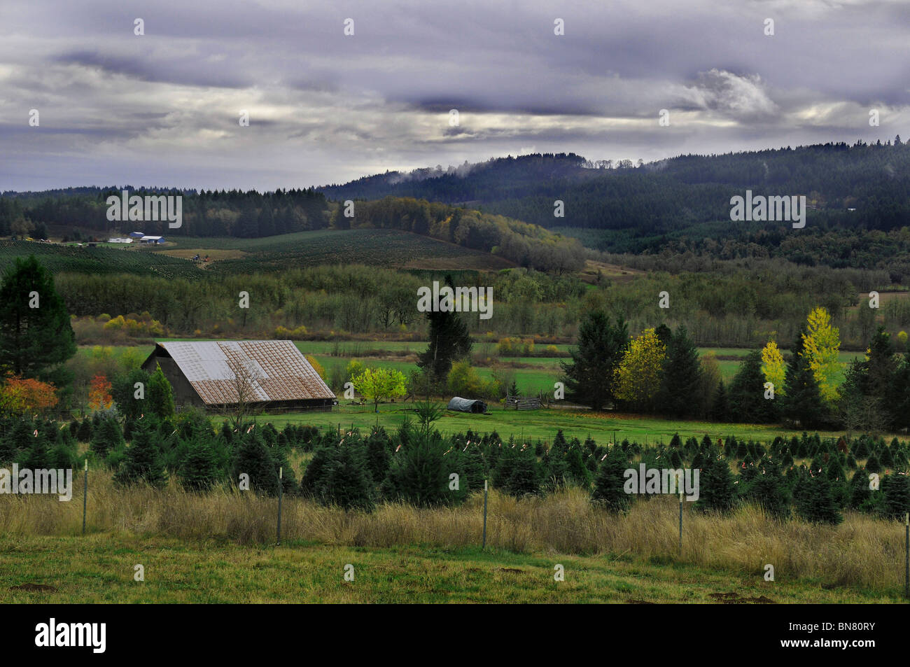 Beautiful country rural landscape with barn. Located in Oregon. Hills ...