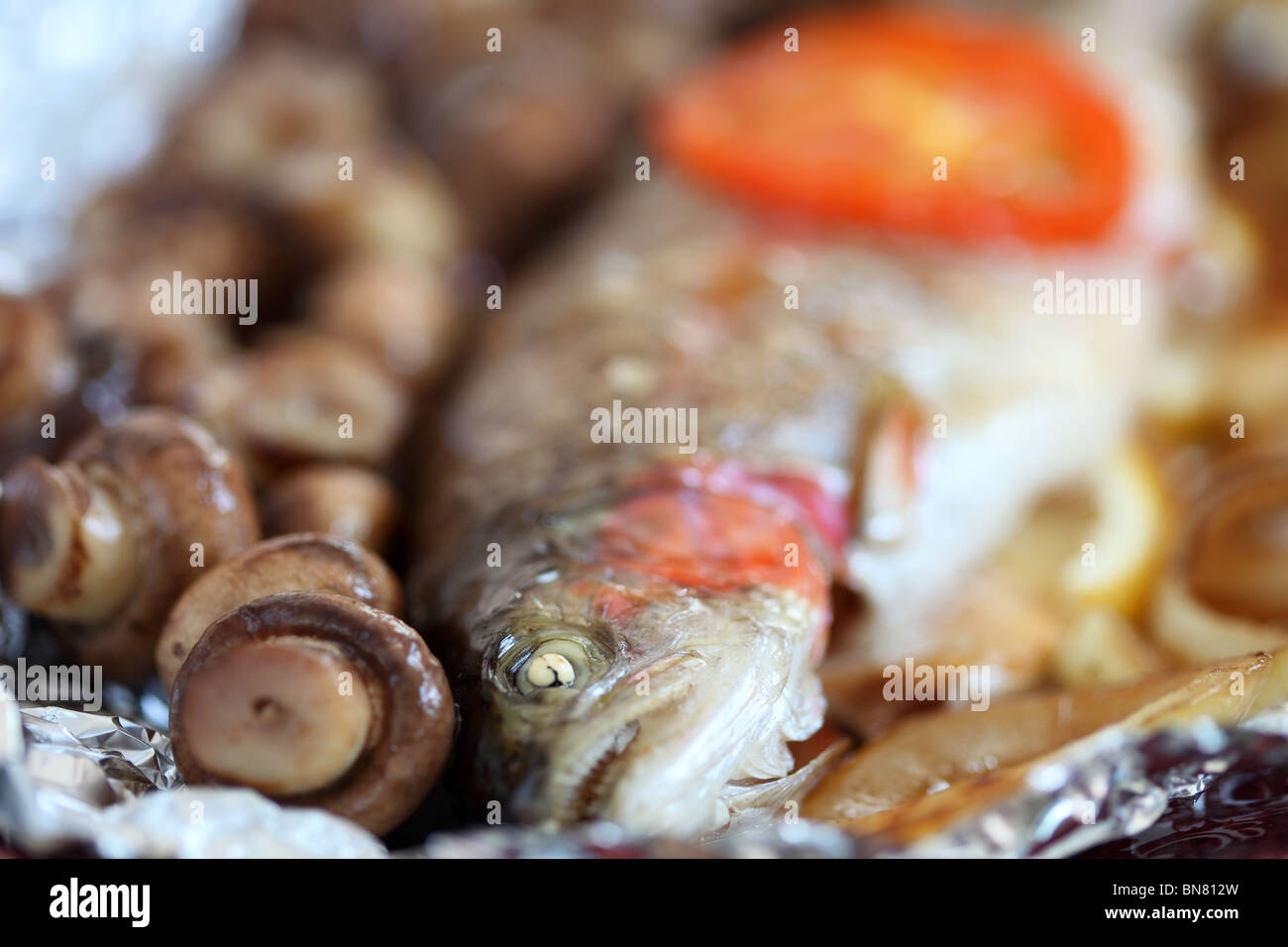Trout fish food Stock Photo - Alamy
