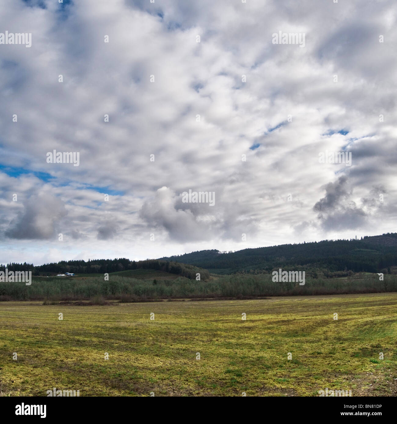 Simple landscape bright cloudy sky hi-res stock photography and images ...