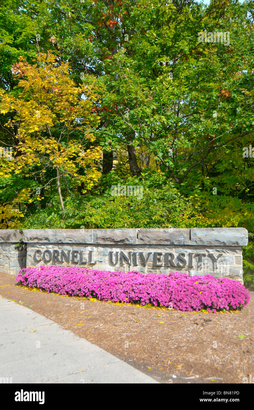 Cornell University Campus Ithaca New York Finger Lakes Region Stock ...