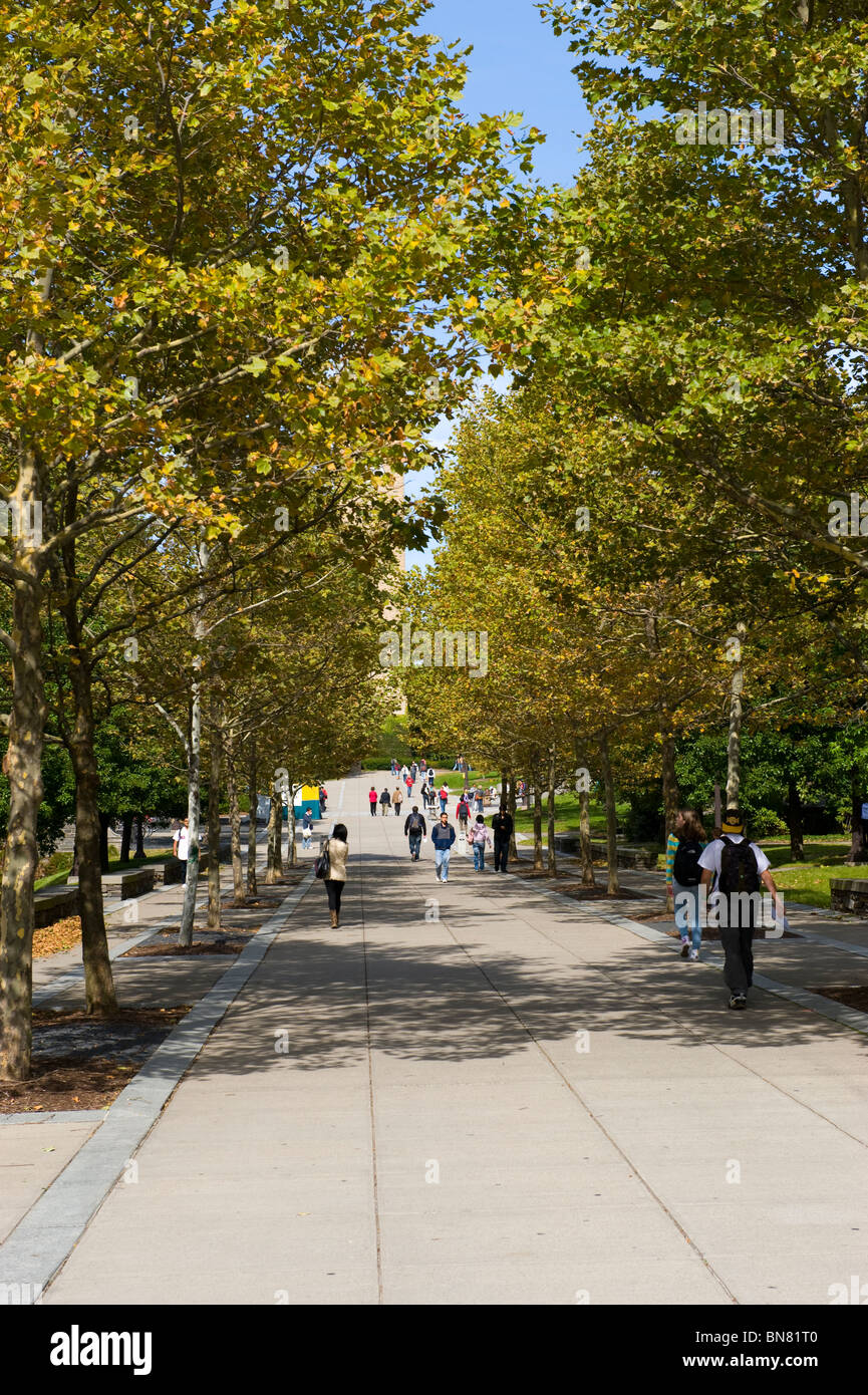 Students on Cornell University Campus Ithaca New York Finger Lakes ...