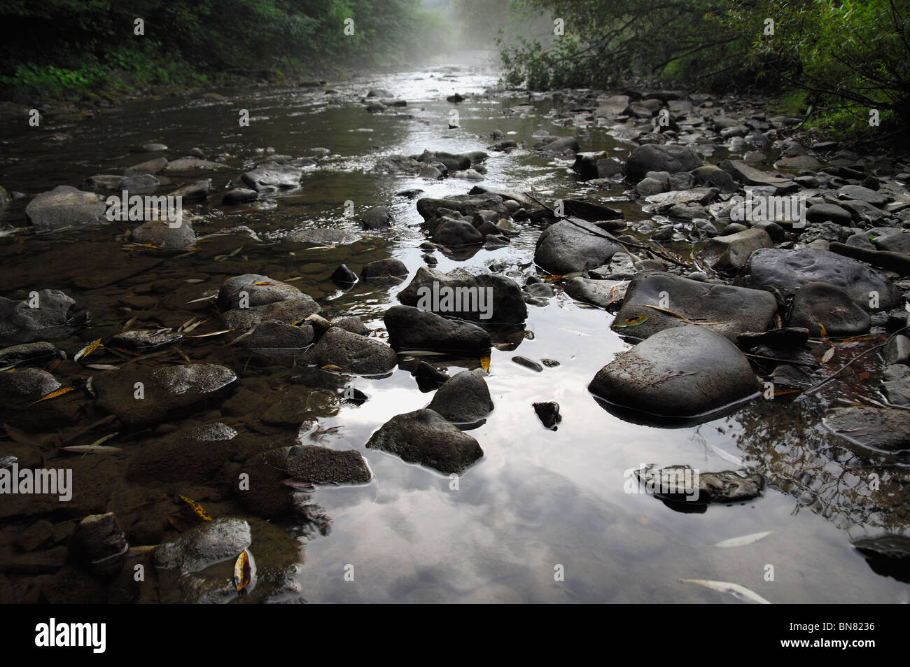 A rocky stream in summer Stock Photo - Alamy