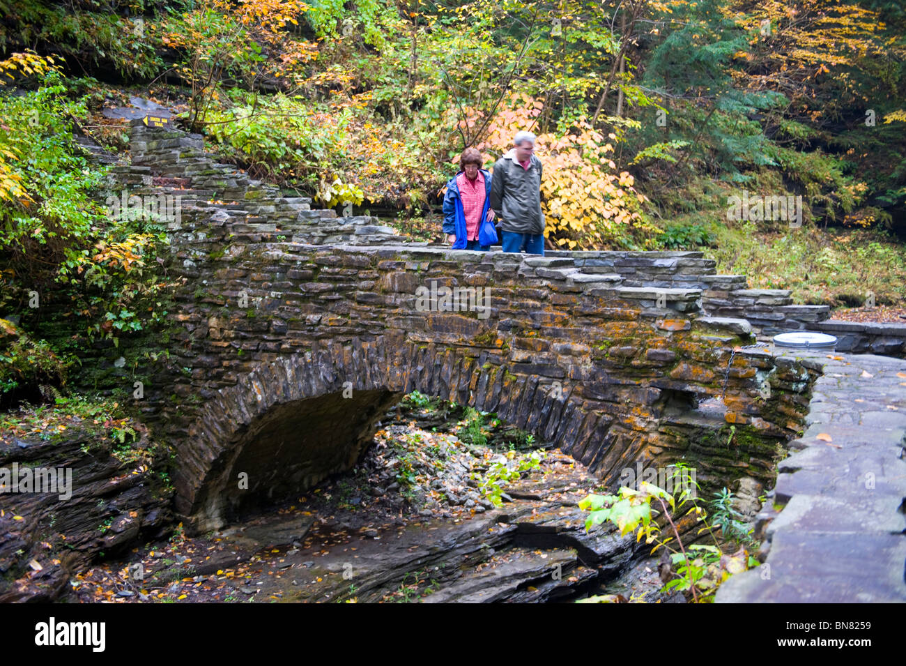 Mile Point Bridge Watkins Glen State Park Finger Lakes Region New York ...