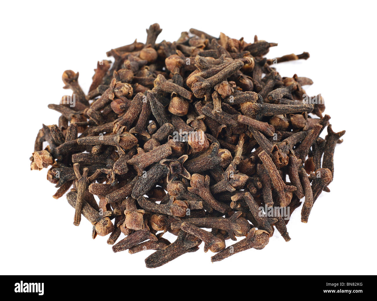 Clove spice closeup on white background Stock Photo - Alamy