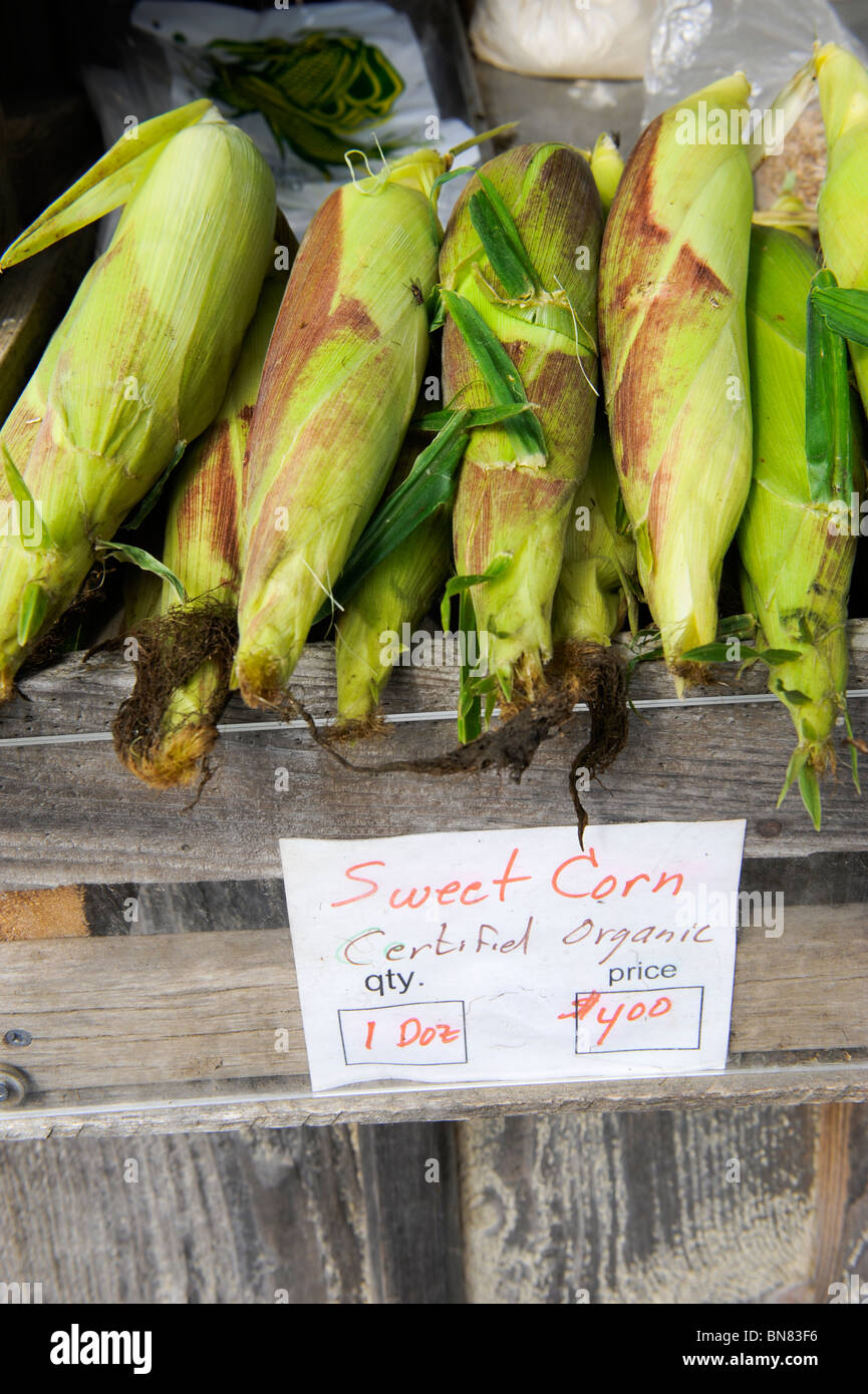 Certified Organic Sweet Corn Stock Photo - Alamy