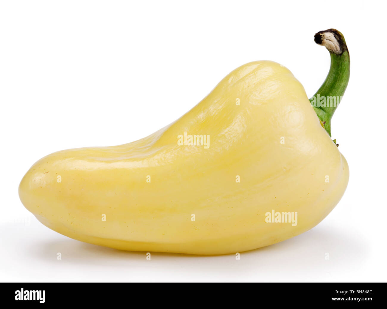 Ripe white pepper vegetable closeup on white Stock Photo - Alamy