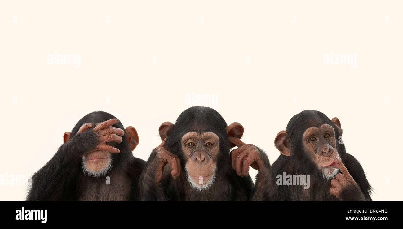 blah blah blah Stock Photo - Alamy