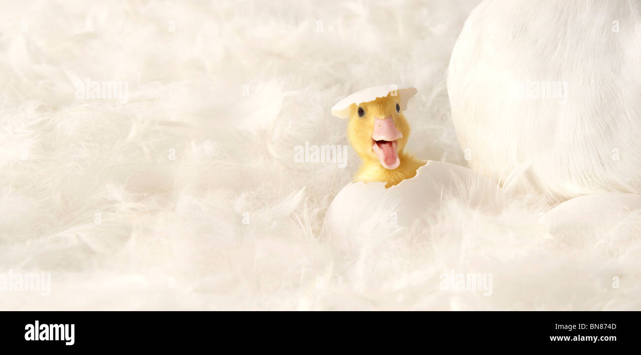 Arrived at last ! Stock Photo - Alamy