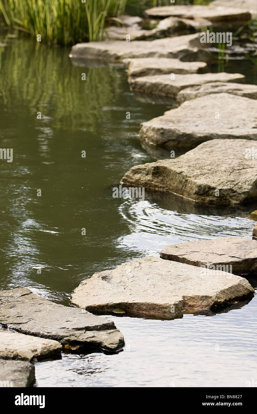 Path from wet stones hi-res stock photography and images - Alamy