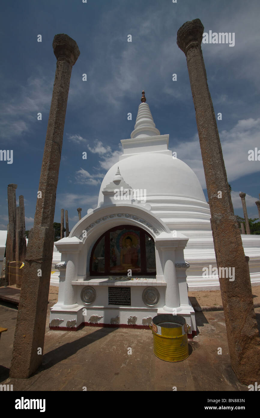 Thuparama hi-res stock photography and images - Alamy