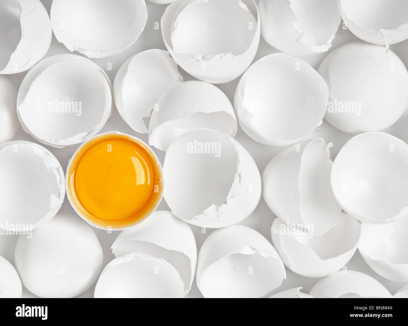 White egg broken shell with one yolk Stock Photo - Alamy