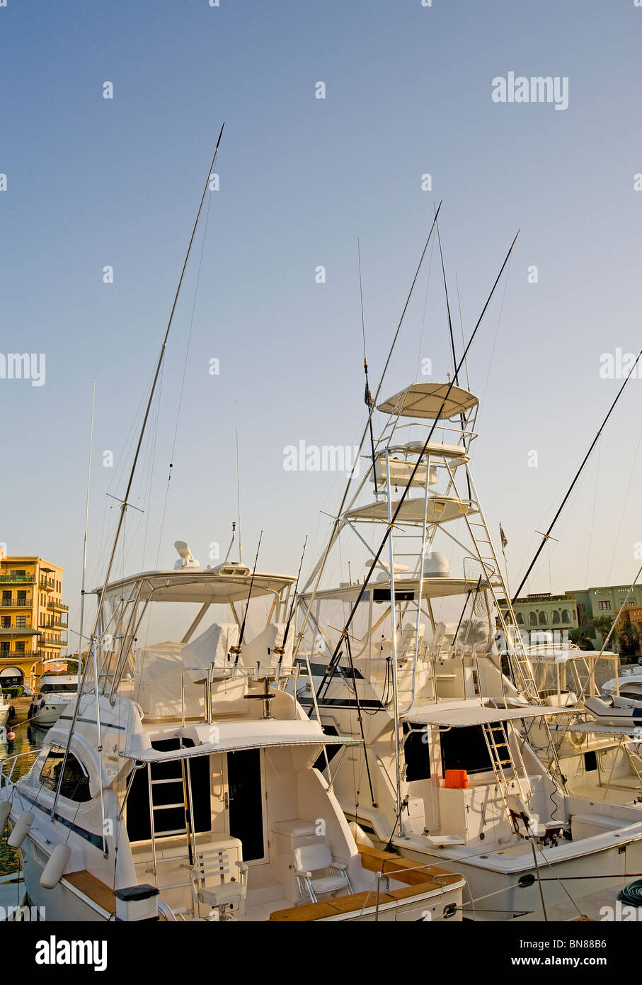 Luxury motor yachts moored up in a marina Stock Photo - Alamy