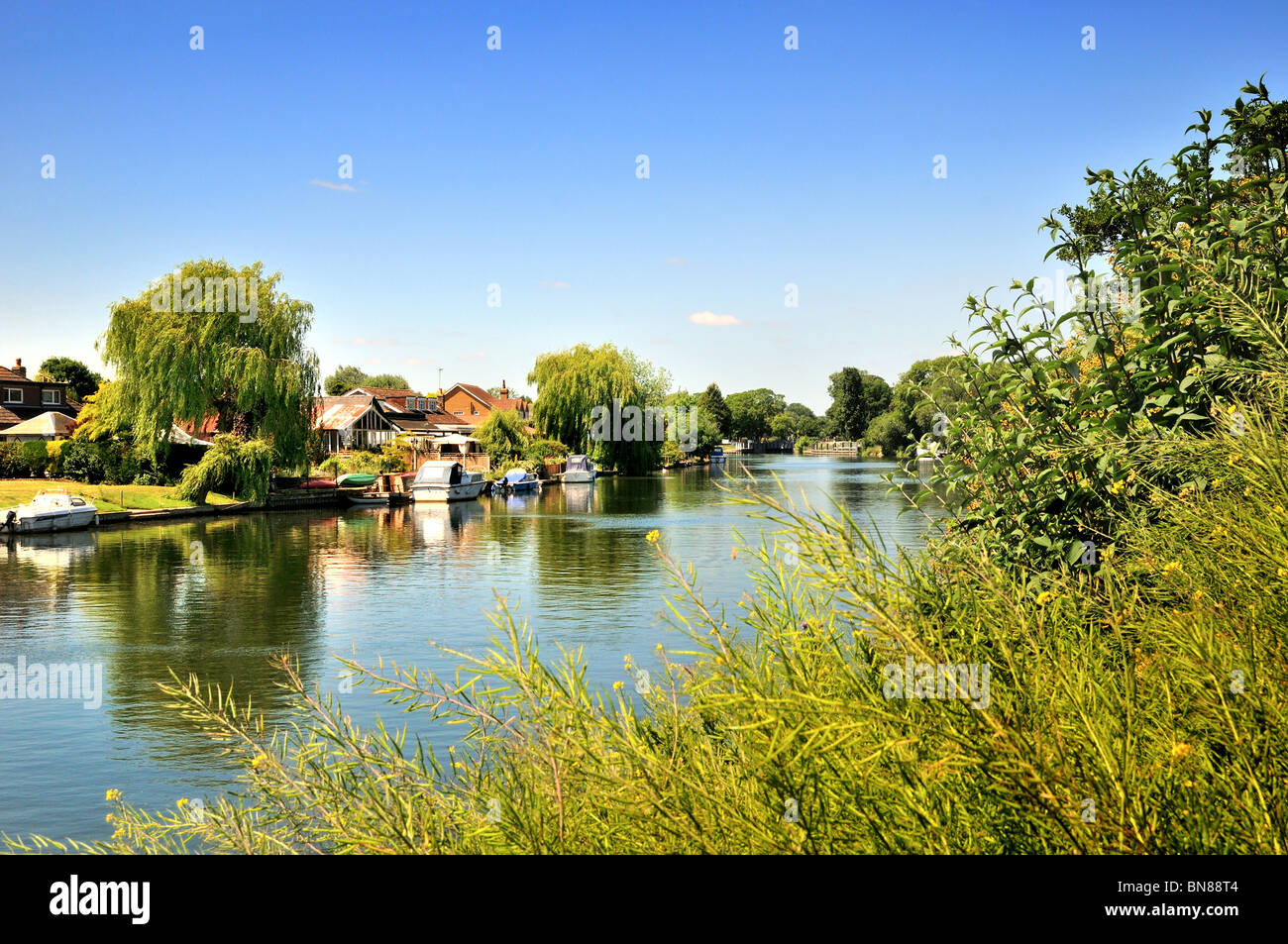 River Thames at Laleham Middlesex Stock Photo - Alamy
