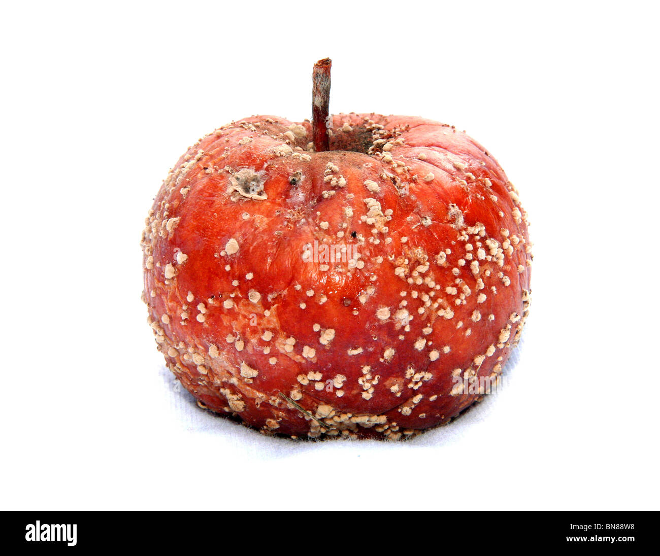 Rotten apple isolated on white Stock Photo - Alamy