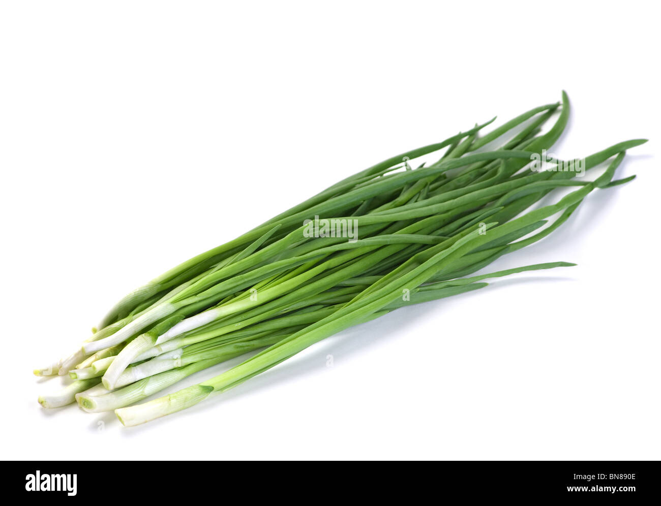 Young green onion leaf Cut Out Stock Images & Pictures - Alamy