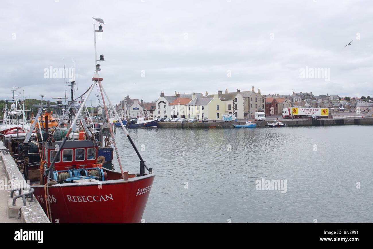 Eyemouth fishing boats hi-res stock photography and images - Alamy